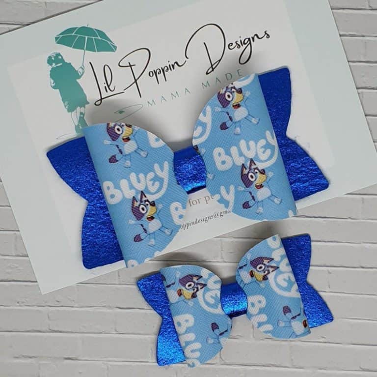 Bluey Party Ideas