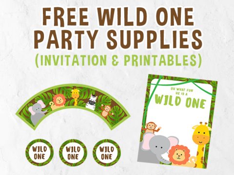 10 Fun Wild One Party Ideas - Party with Unicorns
