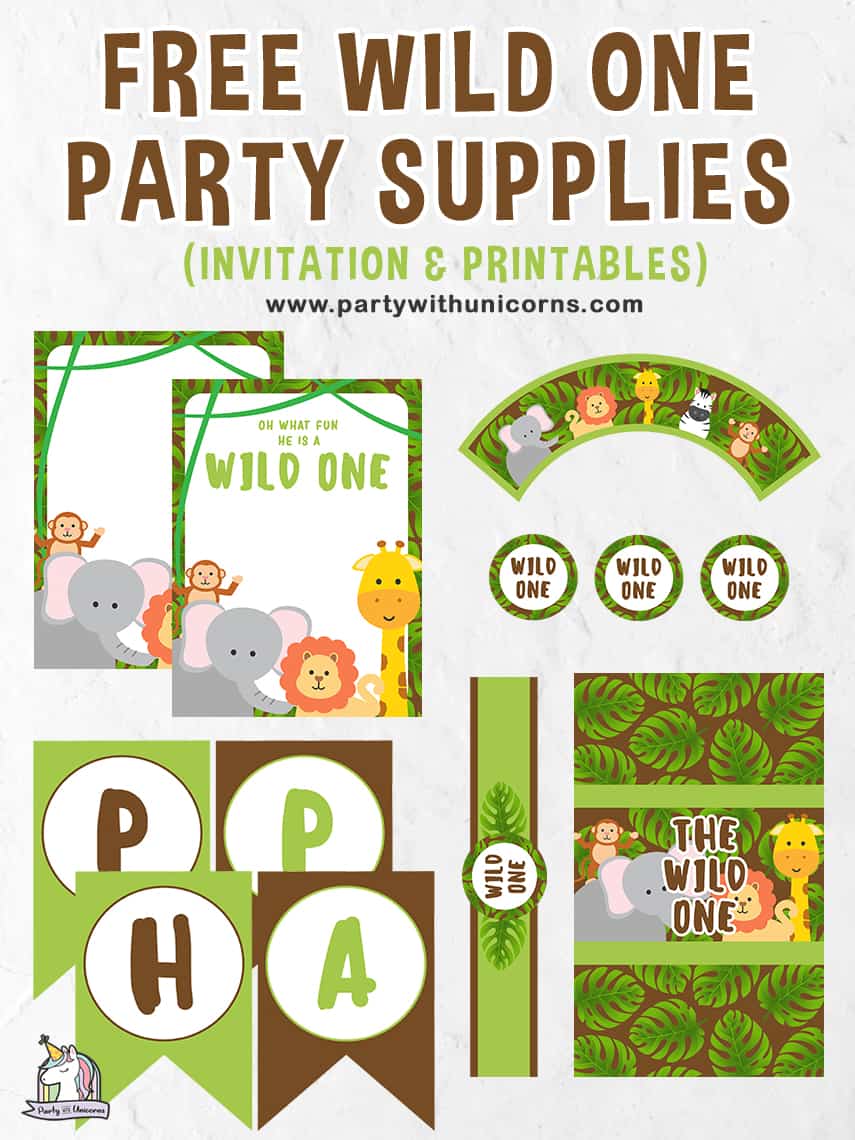 10 Fun Wild One Party Ideas - Party with Unicorns